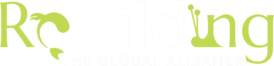 Celtic Rewilding - Homepage