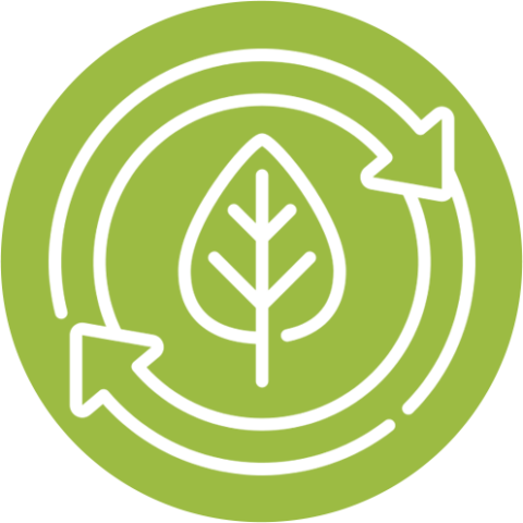 Celtic Rewilding - Homepage